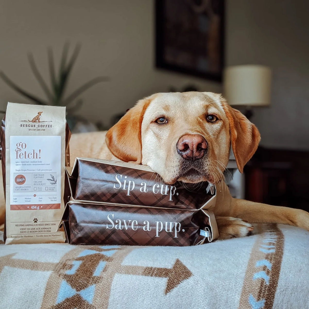 Go Fetch! | Medium-Dark Roast | 1lb Bag | Organic Coffee | Whole Bean ...