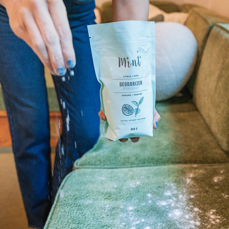 Deodorizer - Bag – Interior Matters